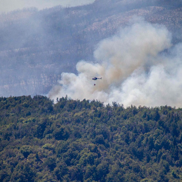Official says fire in Argentina UNESCO park caused by arson - CGTN