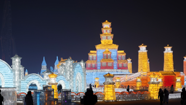 Live: Harbin Ice and Snow World wows visitors with amazing sculptures ...