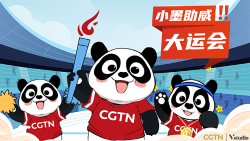 Memes of the cute panda Xiao Mo cheering for Chengdu Universiade - CGTN