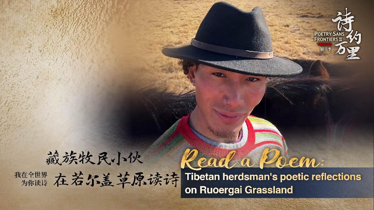 Tibetan herdsman's poetic reflections on Ruoergai Grassland - CGTN