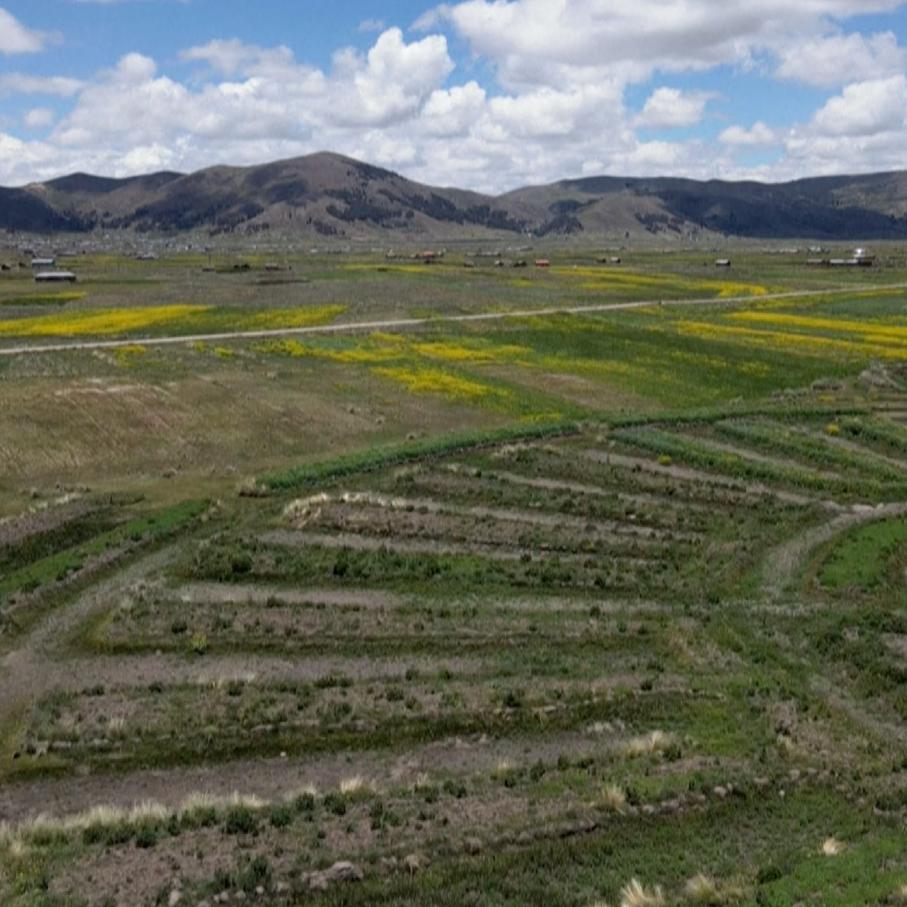Andean farmers use age-old technique amid climate change - CGTN
