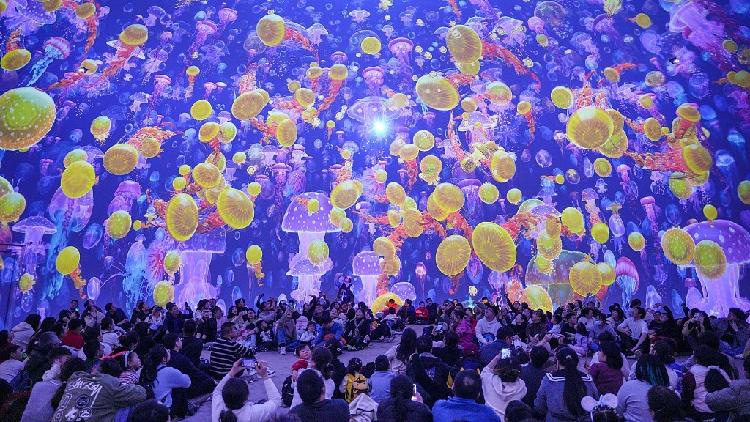 Ocean park wows tourists in Wuhan - CGTN