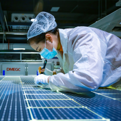 China's economy shows vitality with innovative growth, booming market ...