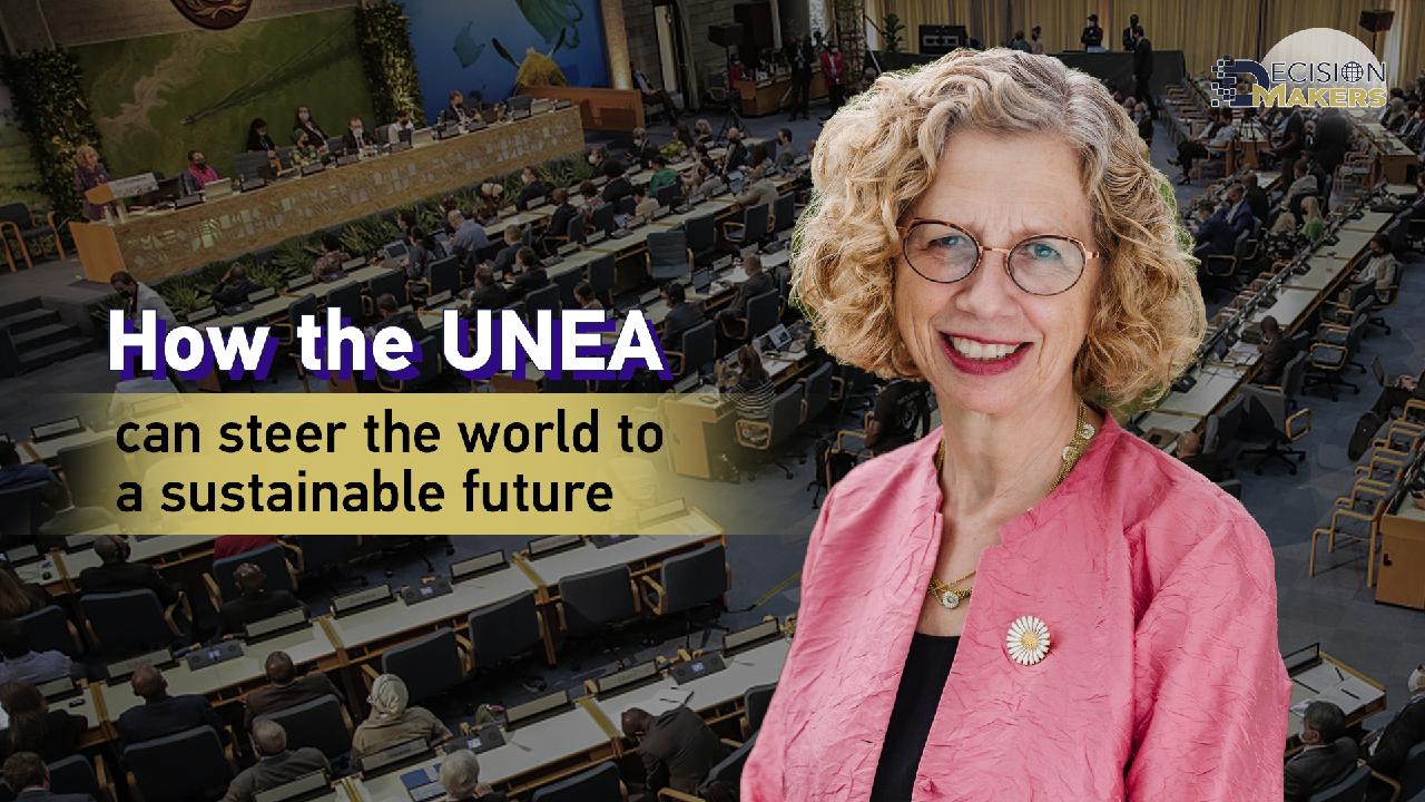 How the UNEA can steer the world to a sustainable future - CGTN