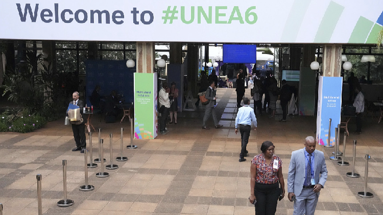 UNEA calls for multilateral solutions to the triple planetary crisis - CGTN