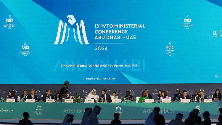 WTO Ministerial Conference offers necessary platform for collaboration - CGTN