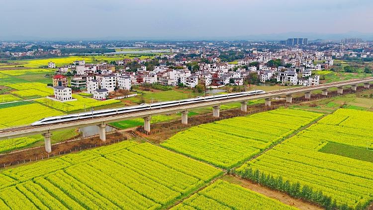 CPPCC takes measures to advance whole-process people's democracy - CGTN