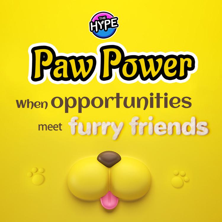 Live: THE HYPE – Paw Power: When opportunities meet furry friends - CGTN