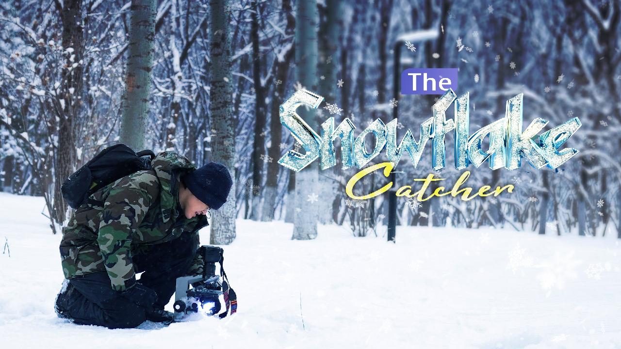 Snowflakes come in 121 types, and some you might see only once - CGTN