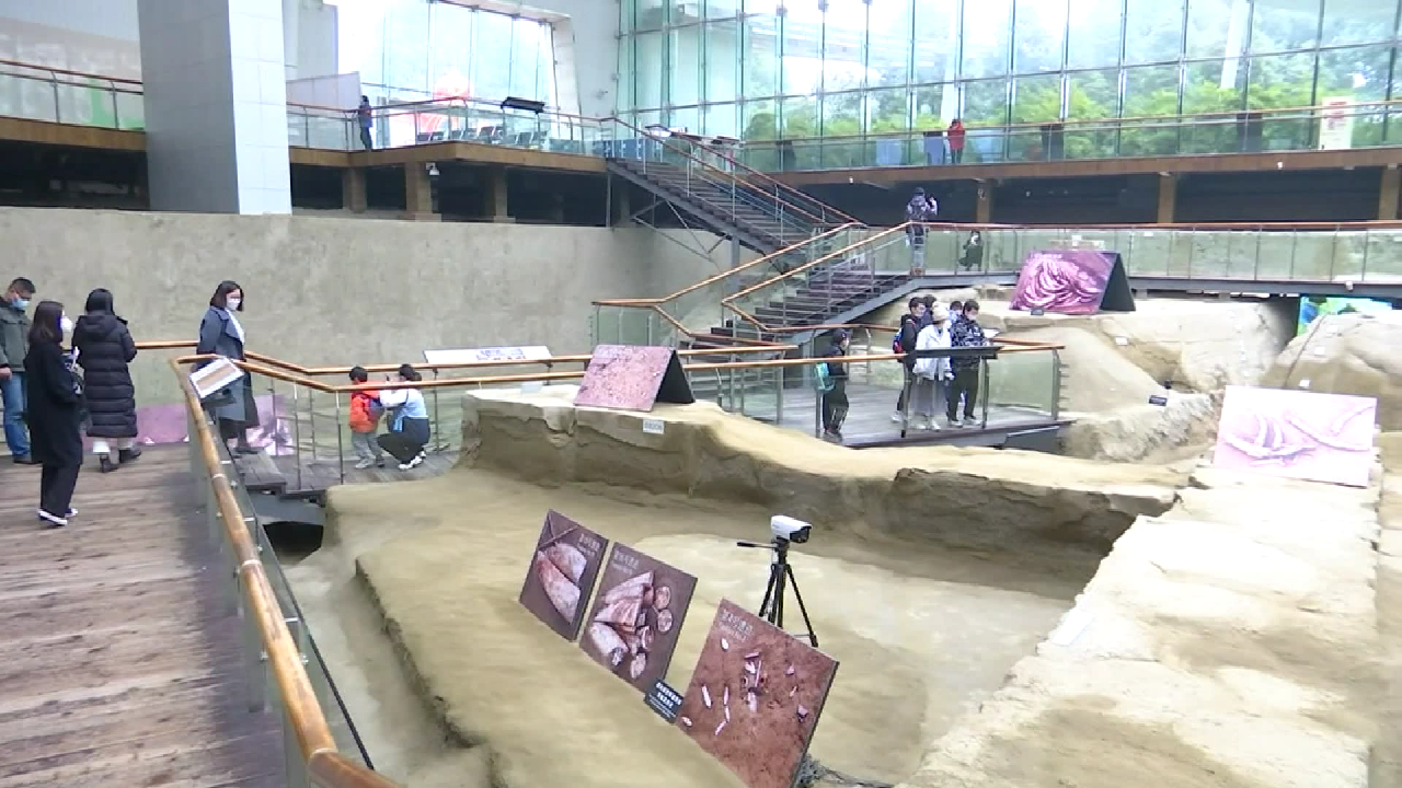 CGTN The Vibe 20240312 - CGTN