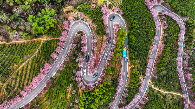 Zig-zag flowery mountain road in northwest China - CGTN