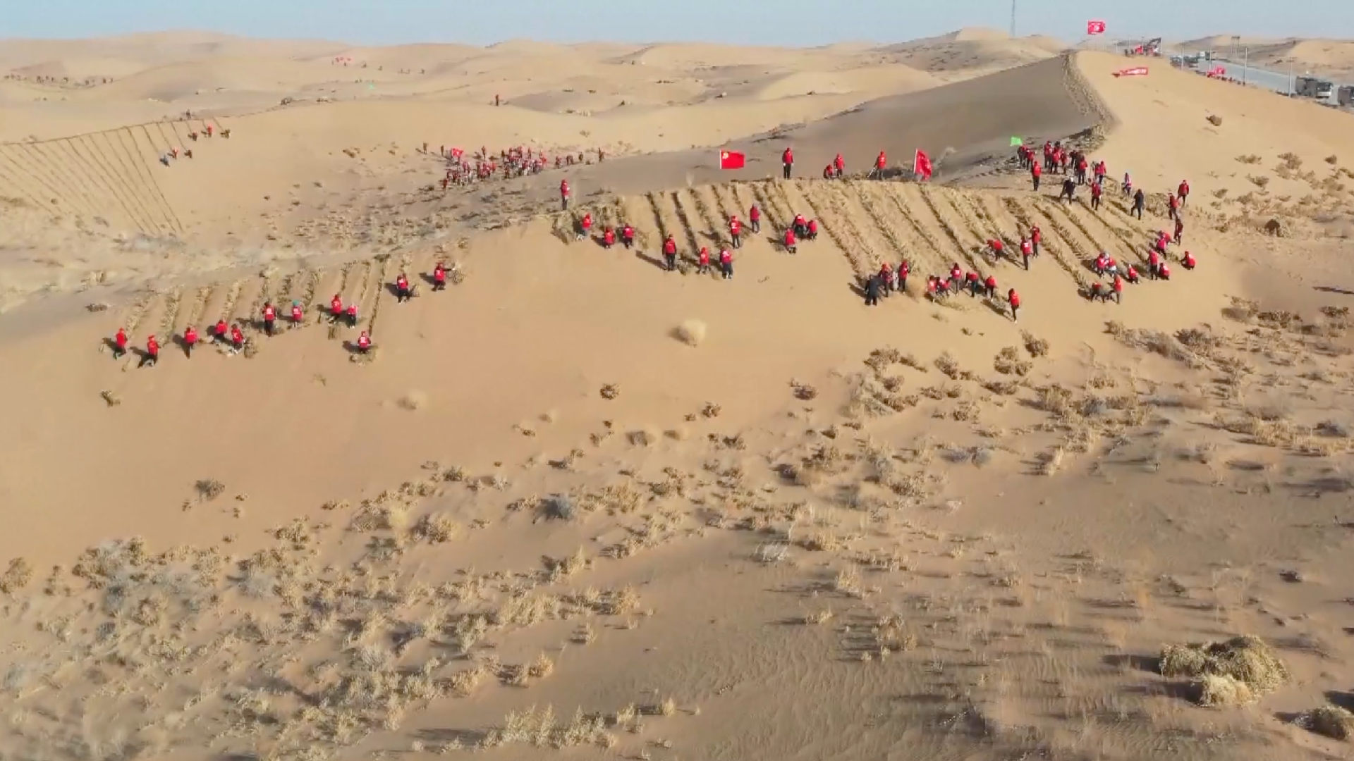 Gansu to afforest 190,000 hectares of land in 2024 - CGTN