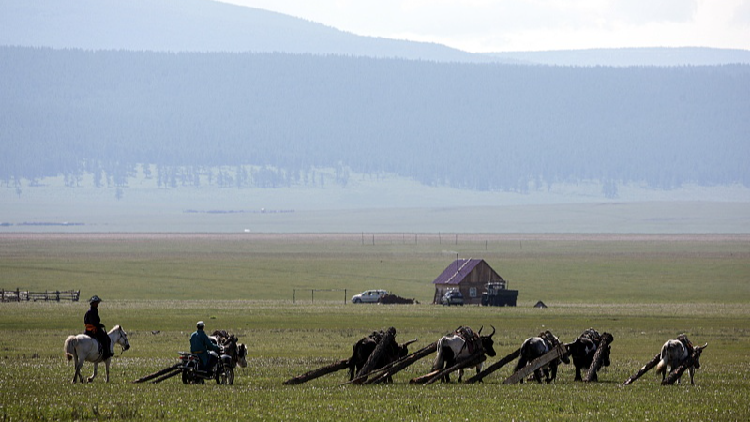 China gives relief materials to herders hit by Mongolia's harsh winter ...