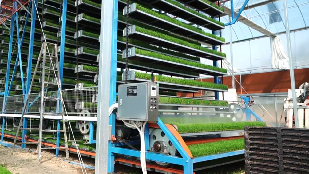 Live: Modern spring plowing and seedling cultivation in SE China - CGTN