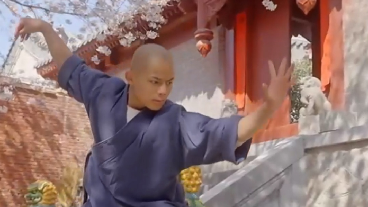 Shaolin kung fu training - CGTN