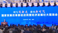 China unveils initiatives to bolster private sector growth - CGTN