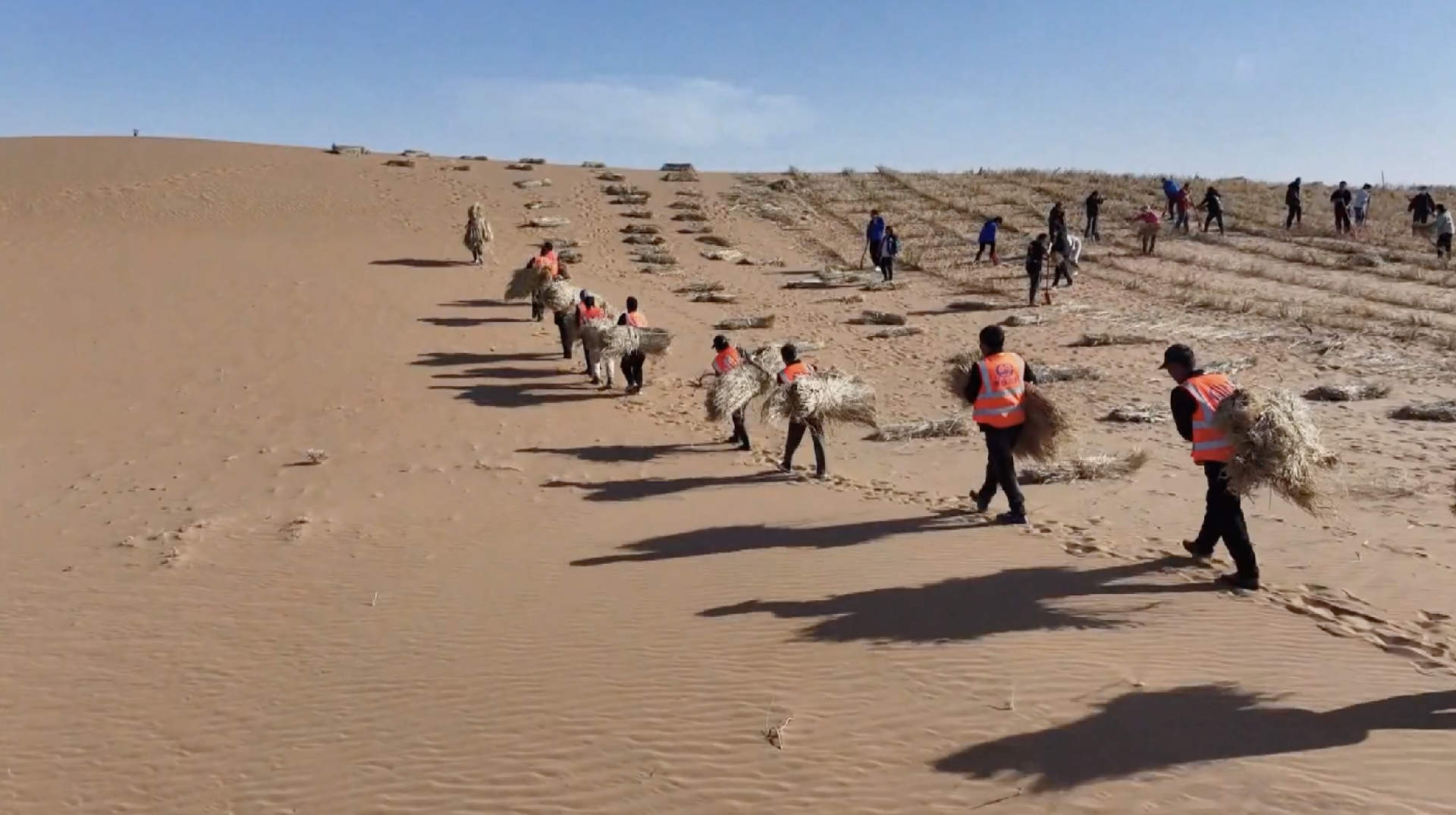 Inner Mongolia pushes ahead with desertification control - CGTN