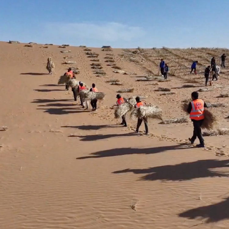 Inner Mongolia pushes ahead with desertification control - CGTN