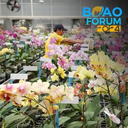 Watch: Entering the world of 'king of flowers' – the realm of orchids ...