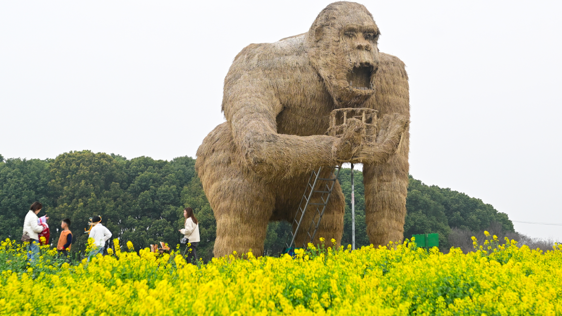 Art structures and rapeseed flowers add vibrant hues to Suzhou gardens ...