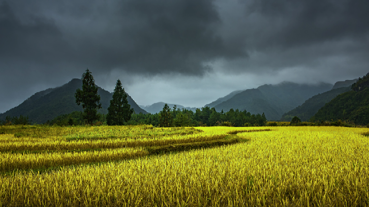 China renews blue alert for rainstorms - CGTN