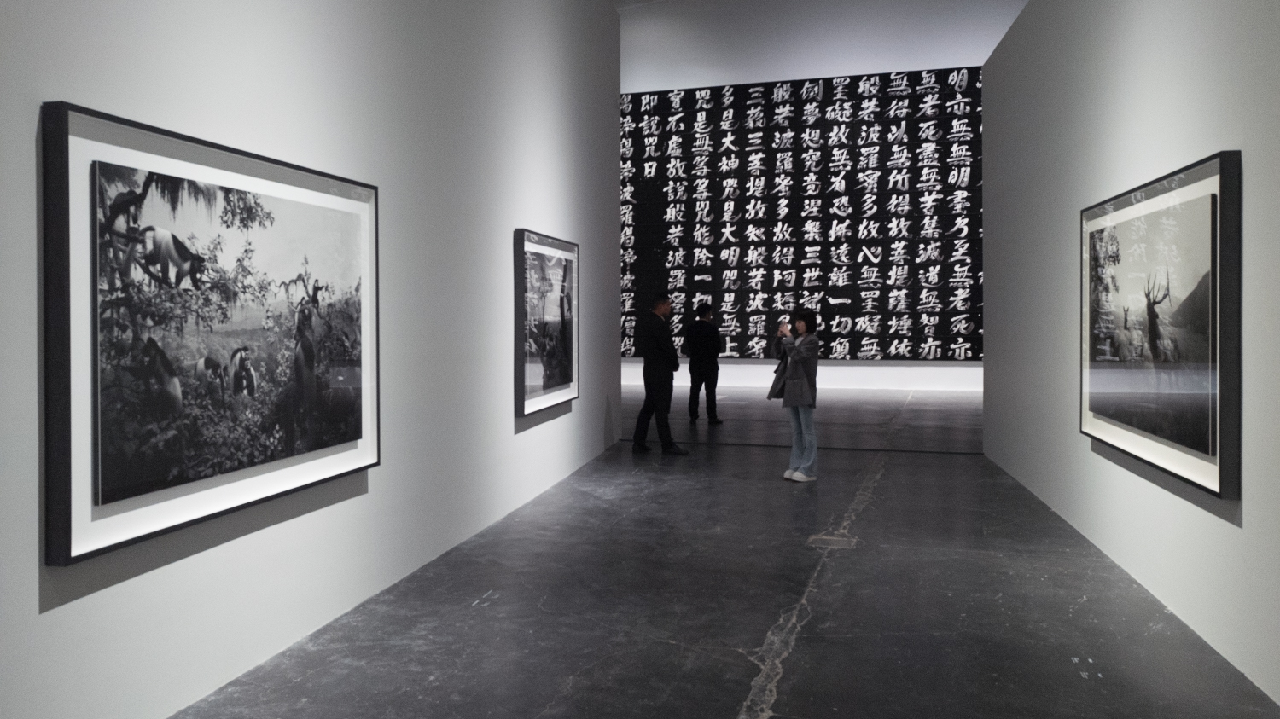 Japanese artist's 'Time Machine' exhibition arrives in Beijing - CGTN