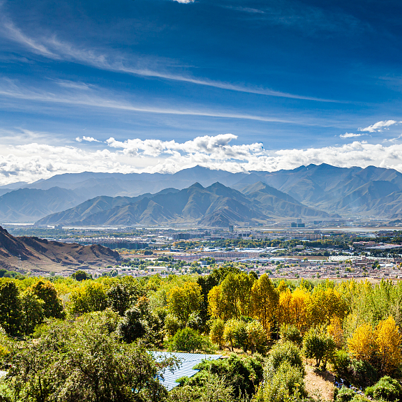 Technology enhances Xizang's largest-ever afforestation project - CGTN