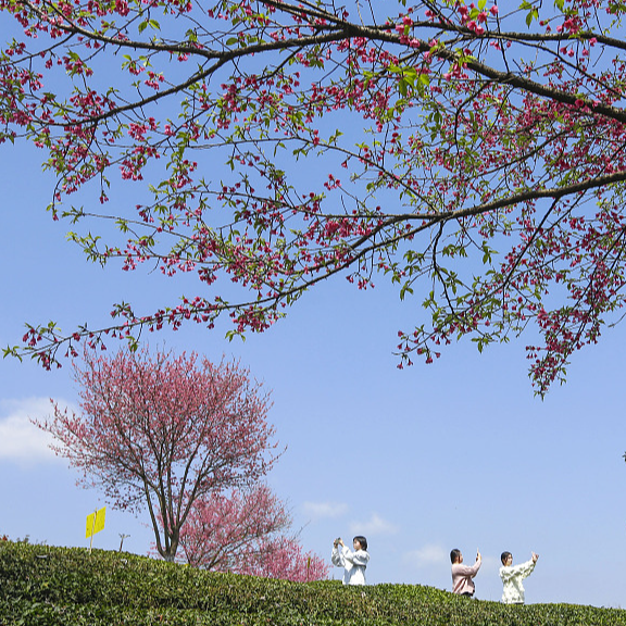 Live: Captivating beauty of spring season around China – Ep. 6 - CGTN