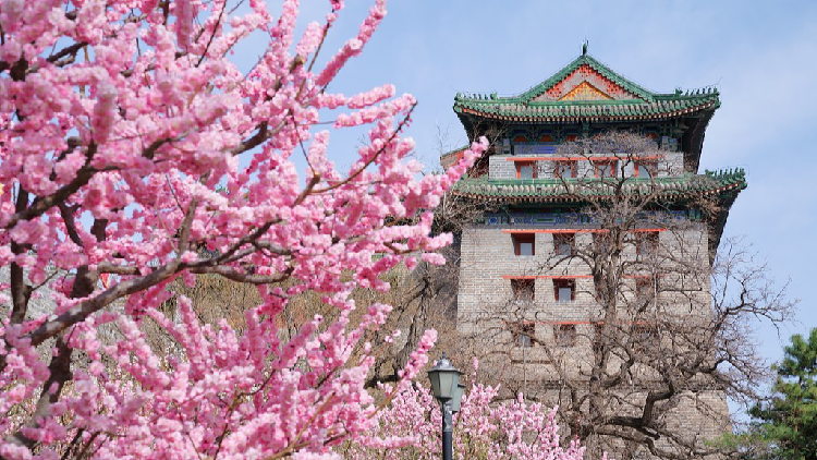 Live: Captivating beauty of spring around China – Ep. 7 - CGTN