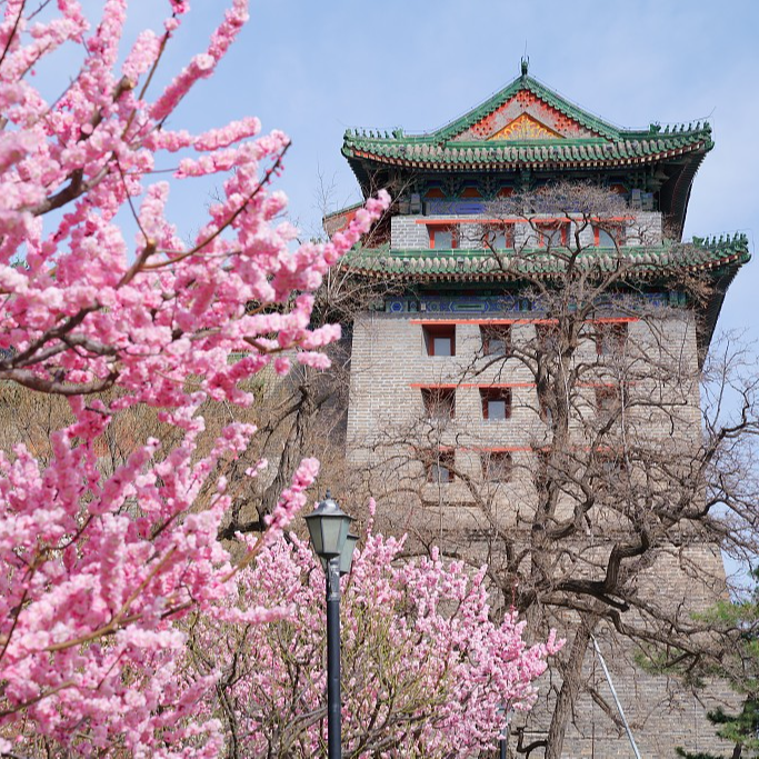 Live: Captivating beauty of spring around China – Ep. 7 - CGTN