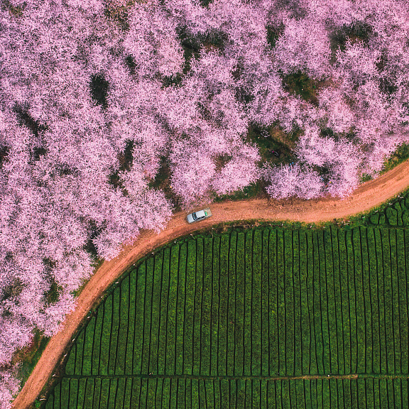 Live: Captivating beauty of spring around China – Ep. 8 - CGTN