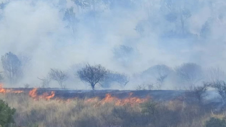 Forest fire breaks out in SW China's Yunnan - CGTN