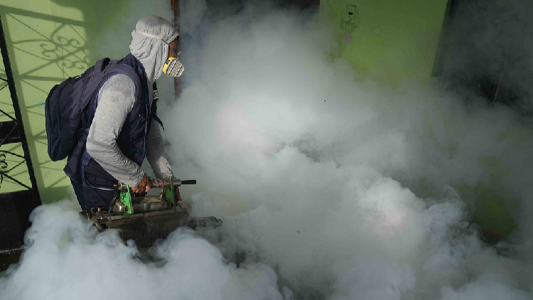 Peru's dengue deaths triple as climate change ups mosquito population ...