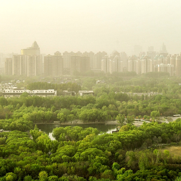 Blue alert: sandstorms sweep northern China - CGTN