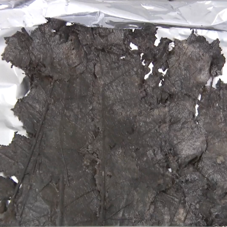Preserved leaves found in 2,200-year-old Chu State tomb in east China ...