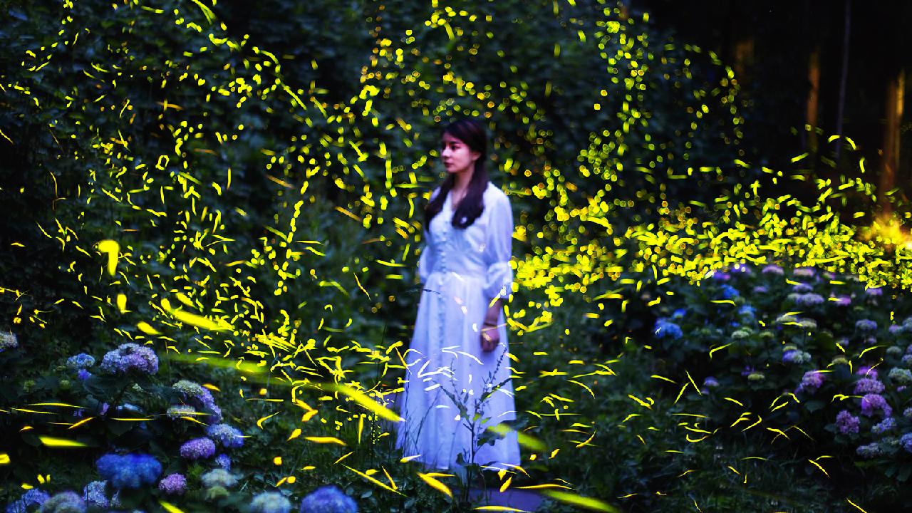 Enchanting spectacle of fireflies on Tiantai Mountain - CGTN