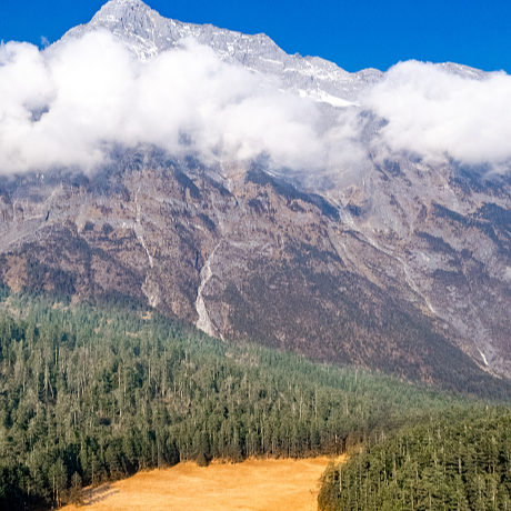 Live: Enjoy views of sacred Yulong Snow Mountain in spruce forest - CGTN