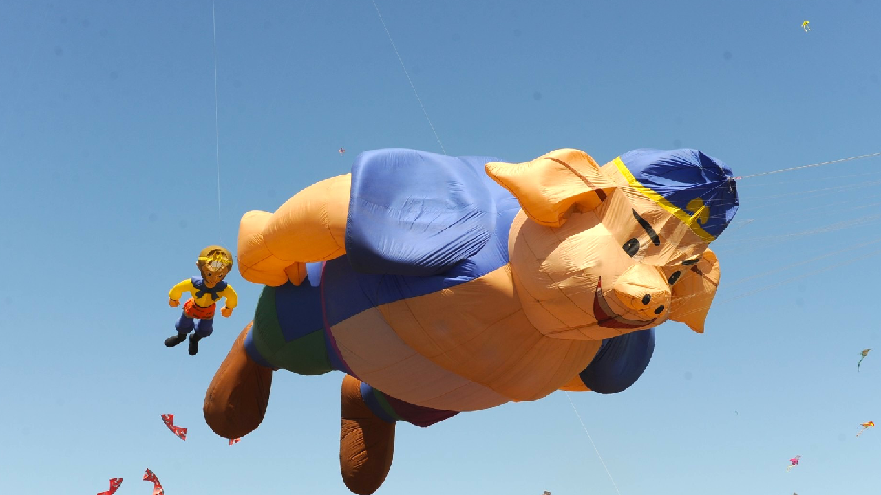 World Kite Championship colors the skies over China's kite capital - CGTN