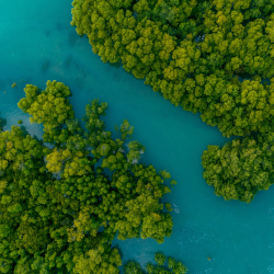 Report calls for China-EU environment, climate cooperation - CGTN