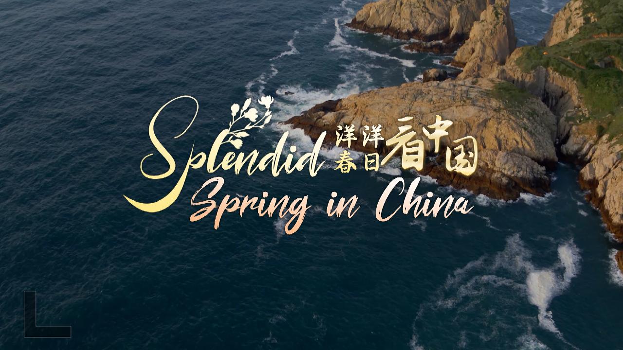 Splendid spring in China: Discover a wildlife paradise on sea islands ...