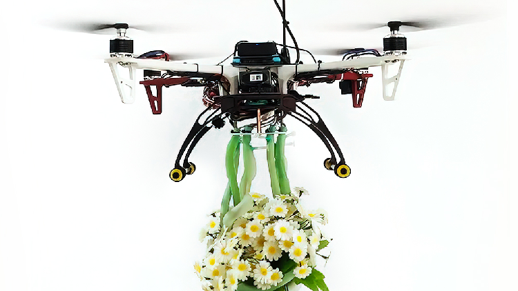 China develops plant-inspired soft drone grippers for delicate tasks - CGTN