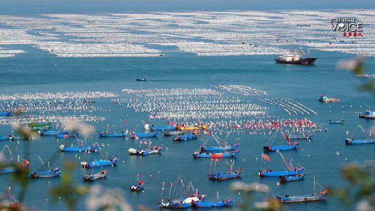 Why China's solution to global ocean governance and peace works - CGTN