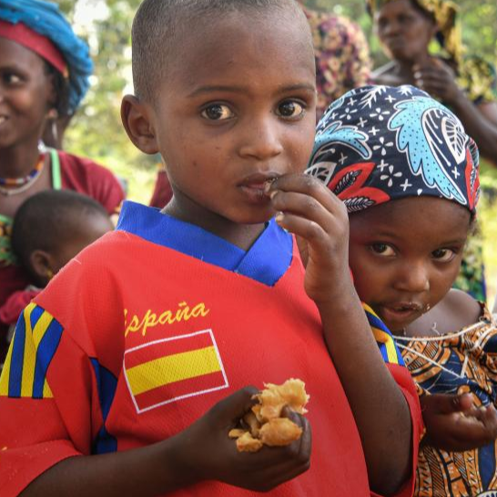 'Magic grass' from China brings world happiness through Juncao tech - CGTN