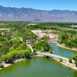 China's Ningxia achieves major progress in ecological protection - CGTN