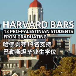 Harvard bars 13 pro-Palestinian students from receiving degrees - CGTN
