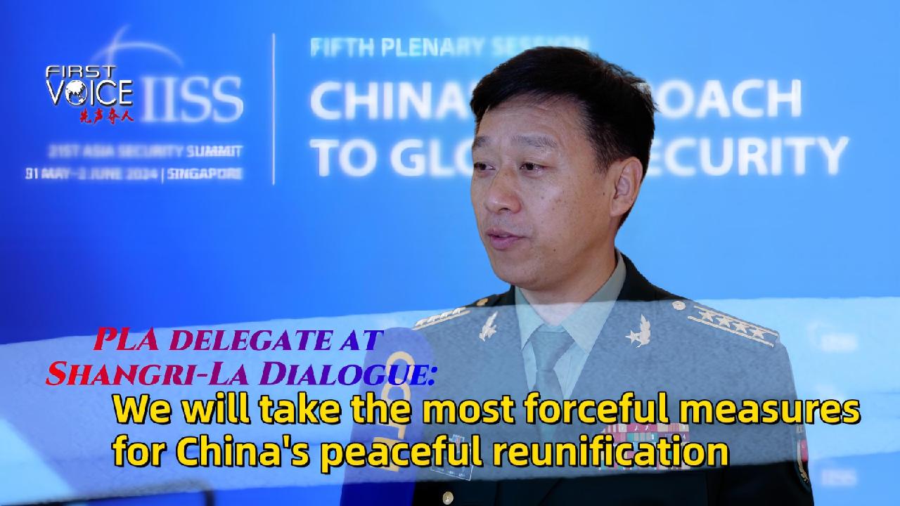 PLA delegate emphasizes the commitment to peaceful reunification - CGTN