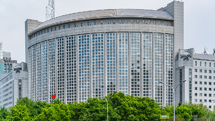 Brazilian vice president to visit China June 4-8 - CGTN