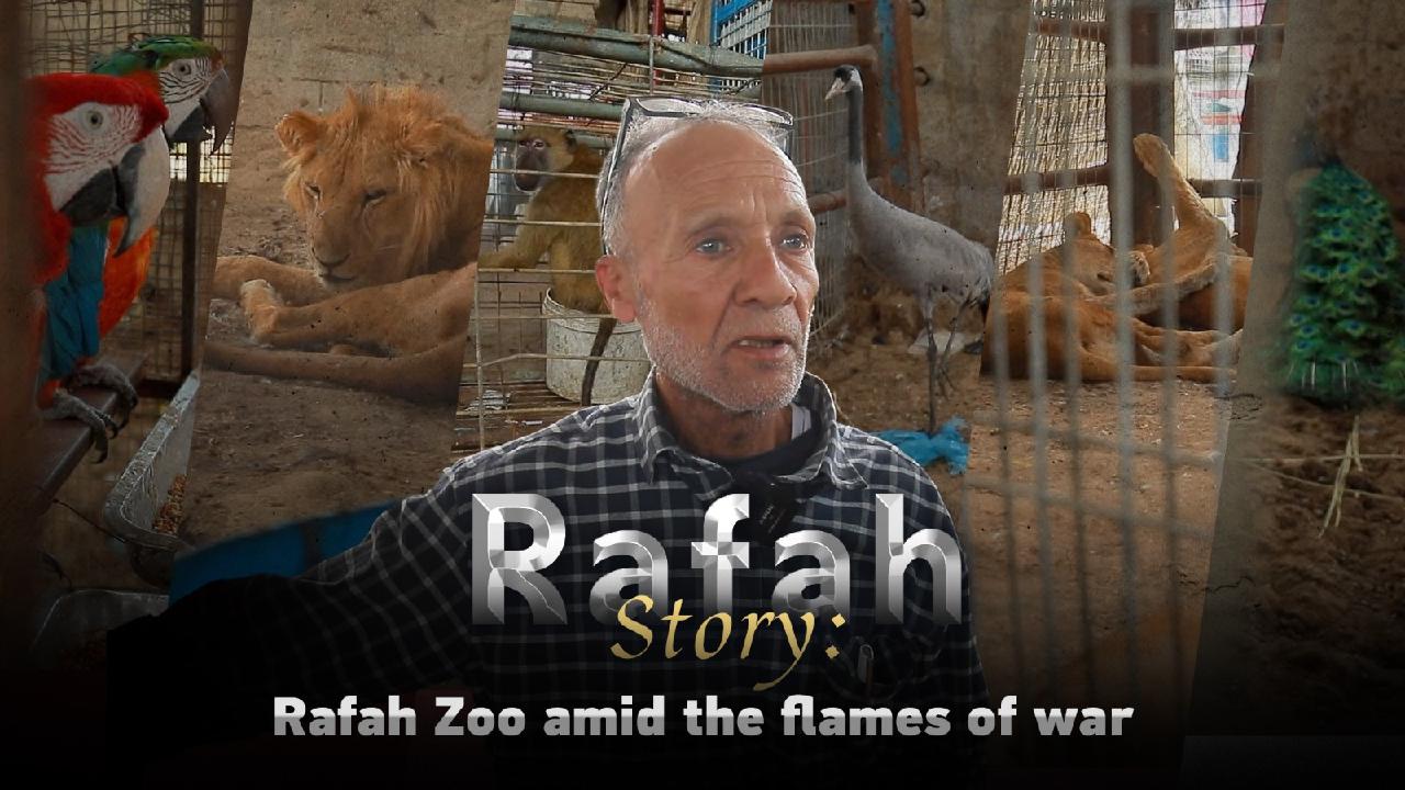 Rafah Story: Rafah Zoo amid the flames of war - CGTN