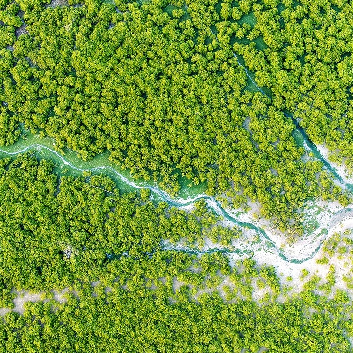 World Environment Day: China's efforts to restore and improve its land ...