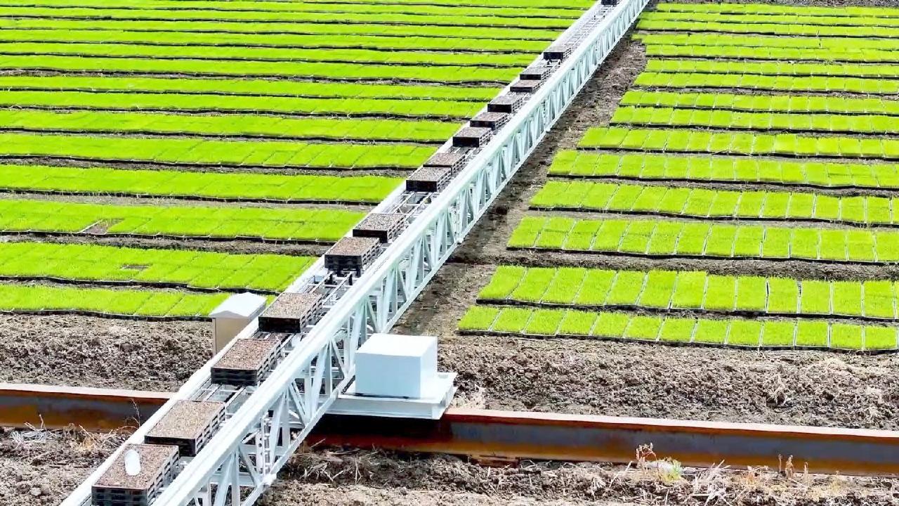 Jiangsu: New technology for smart rice seedling cultivation - CGTN